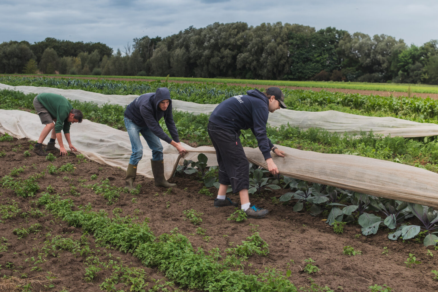 Heerlijkheid Van Heule - Een werking van Oranjehuis Kortrijk